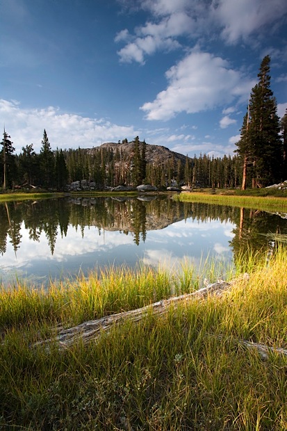 Lush Pond Camp
